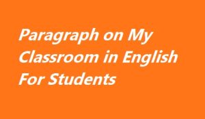 Paragraph on My Classroom in English For Students