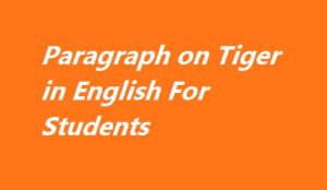 Paragraph on Tiger in English For Students